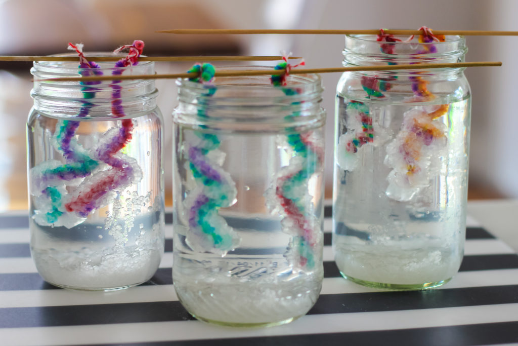 DIY Grow Your Own Crystal Science Project